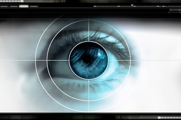 Méthode GANTT et Mind Mapping - Management Visuel